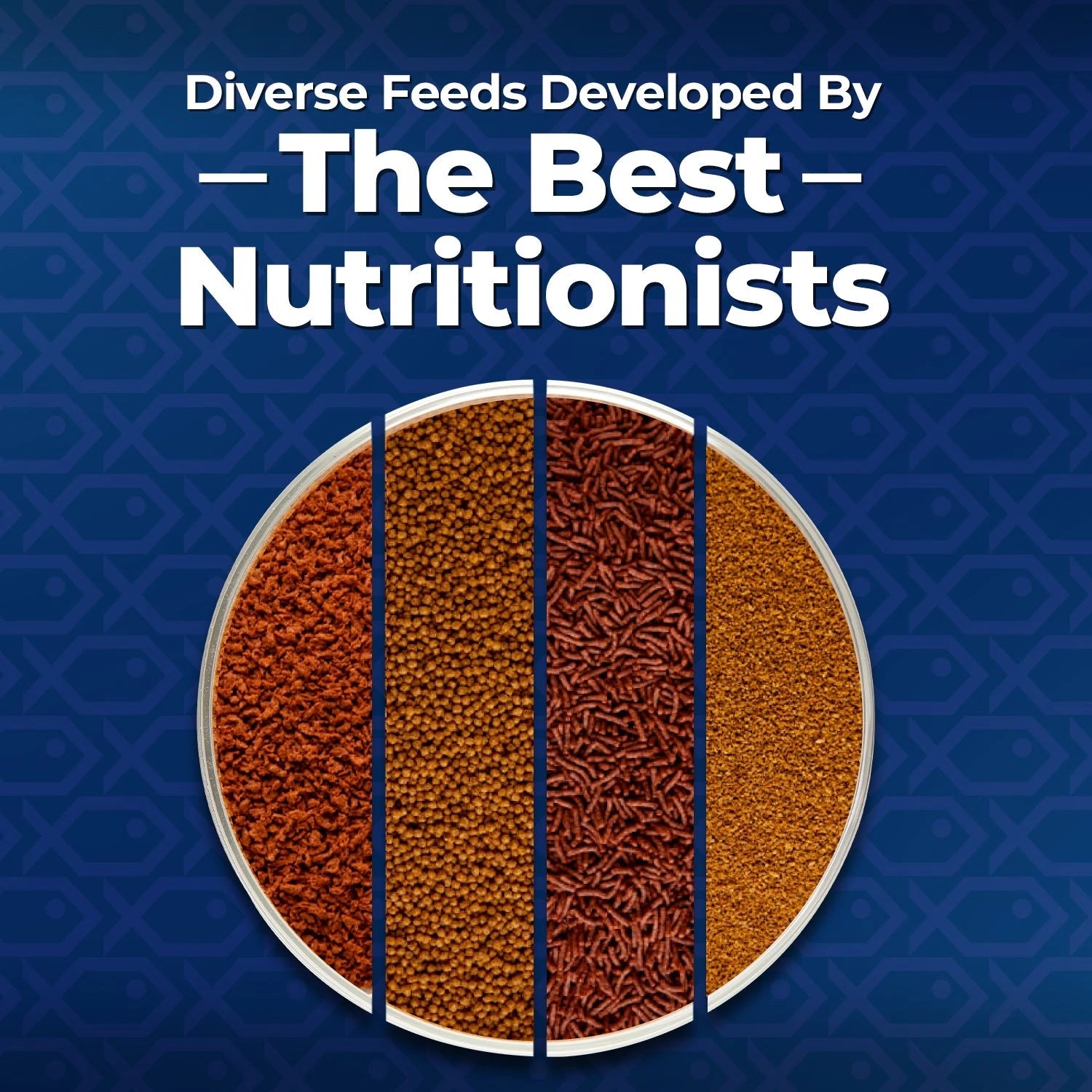 Buy Fish Food Online at Best Price | Big Collection – Best4Pets