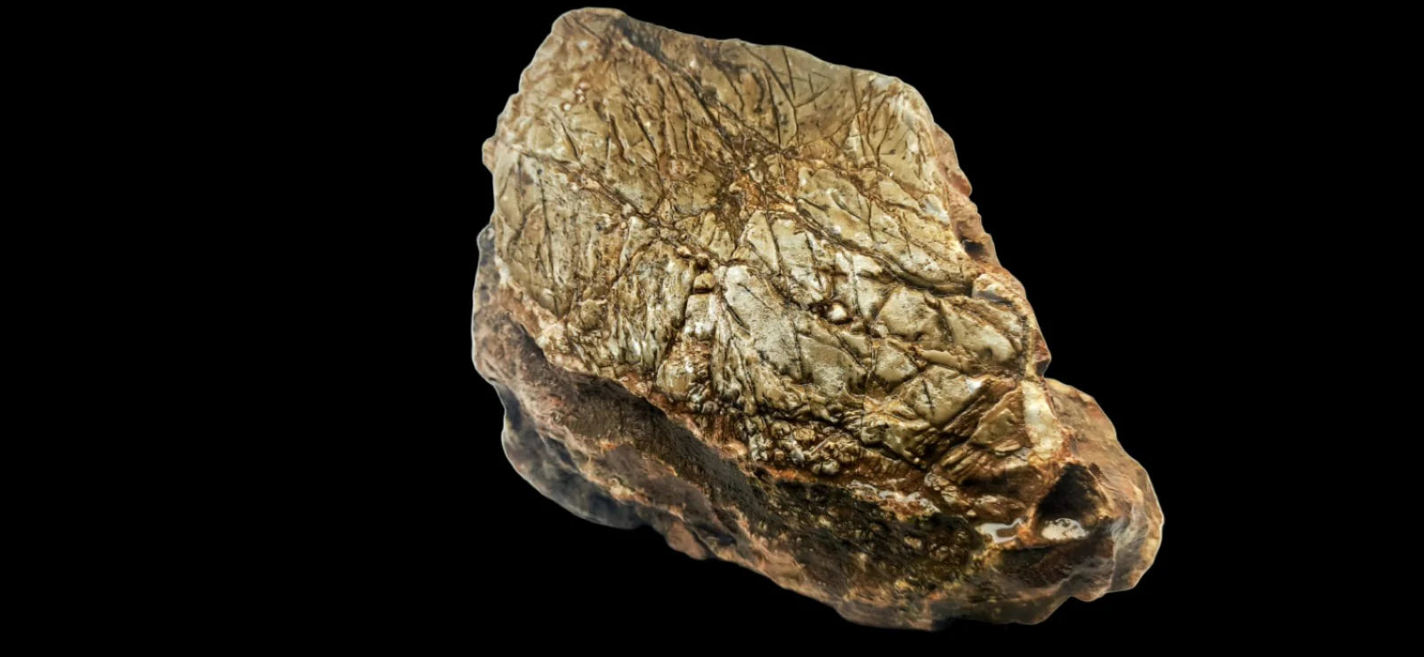 Buy Aquarium Stones Online At Affordable Price – Best4Pets