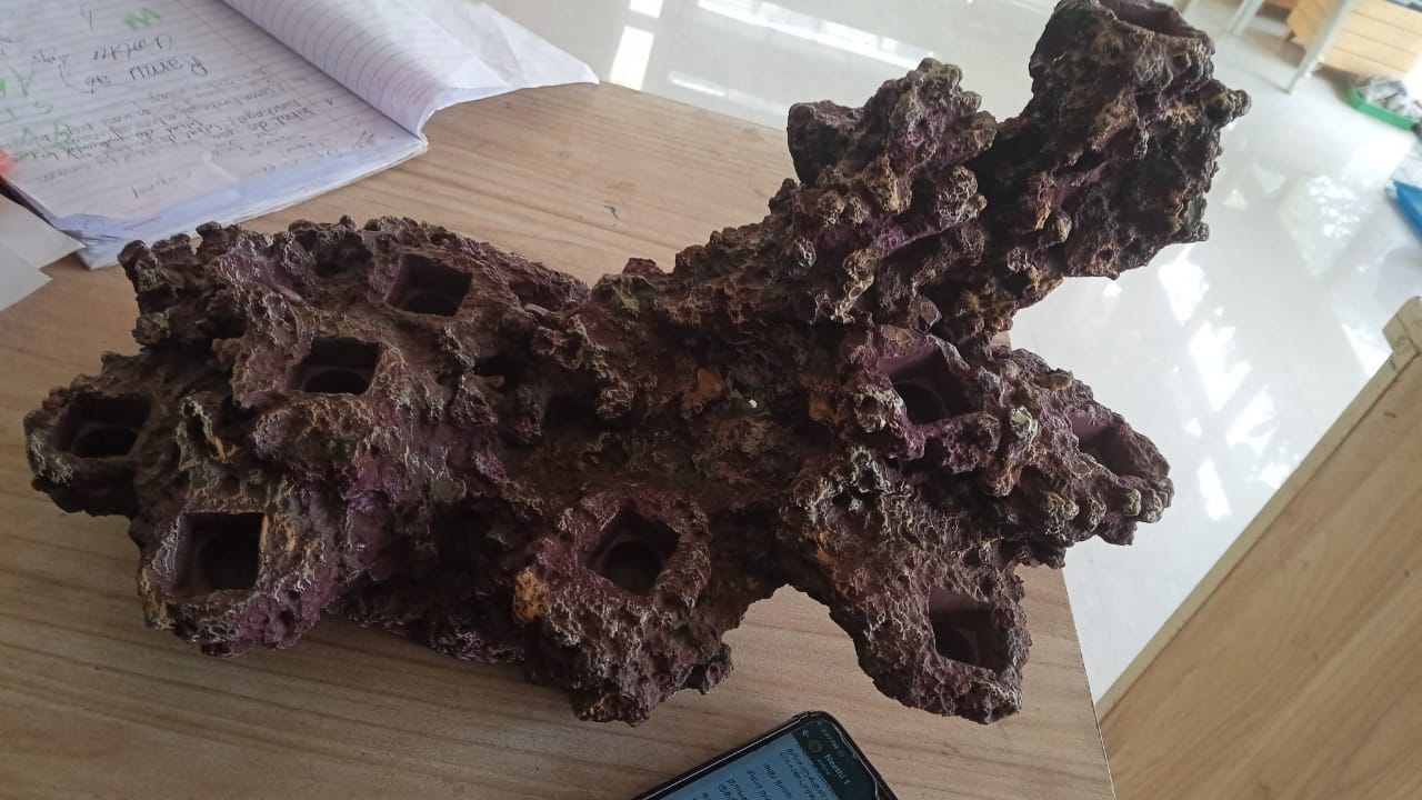 Coral Base 15inch – Best4Pets