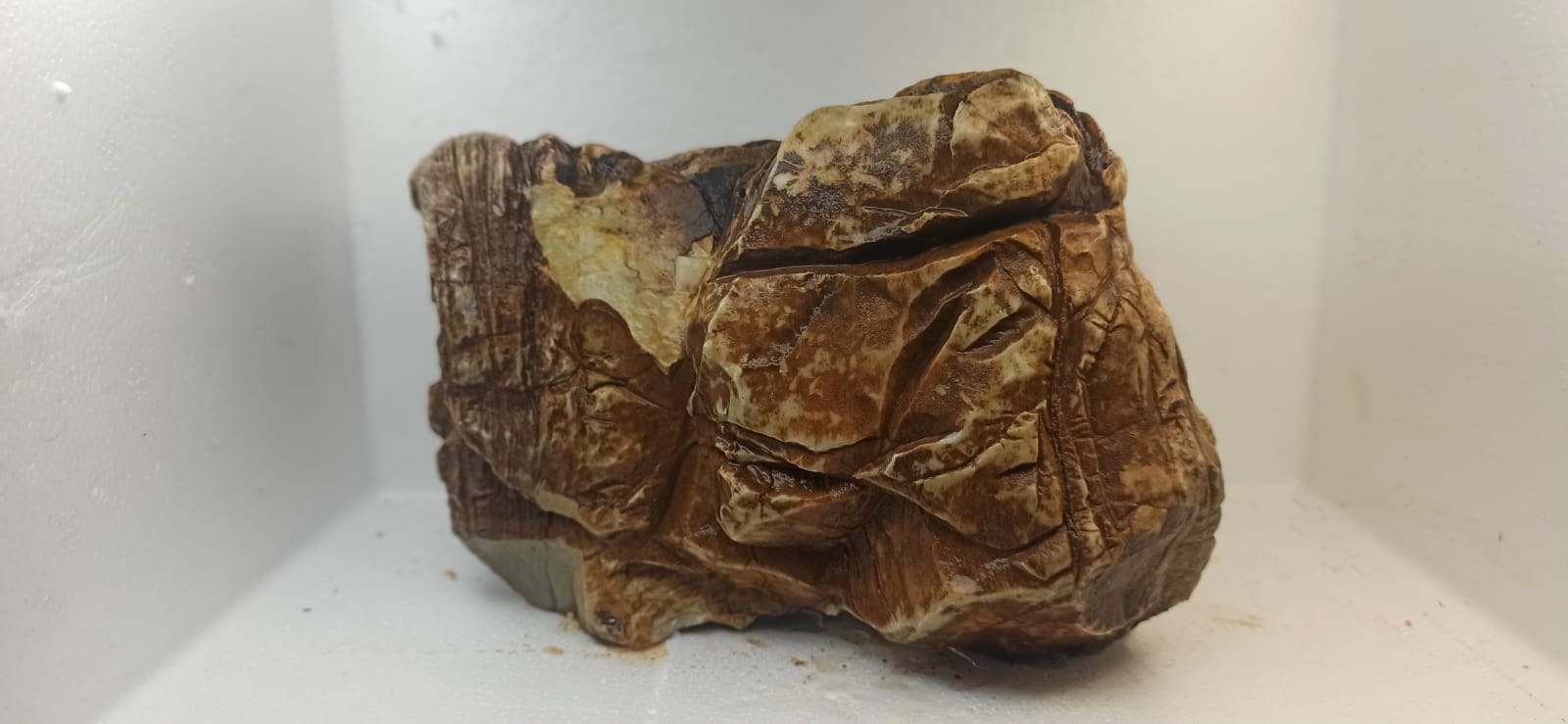 AQA Elder Stone – Best4Pets